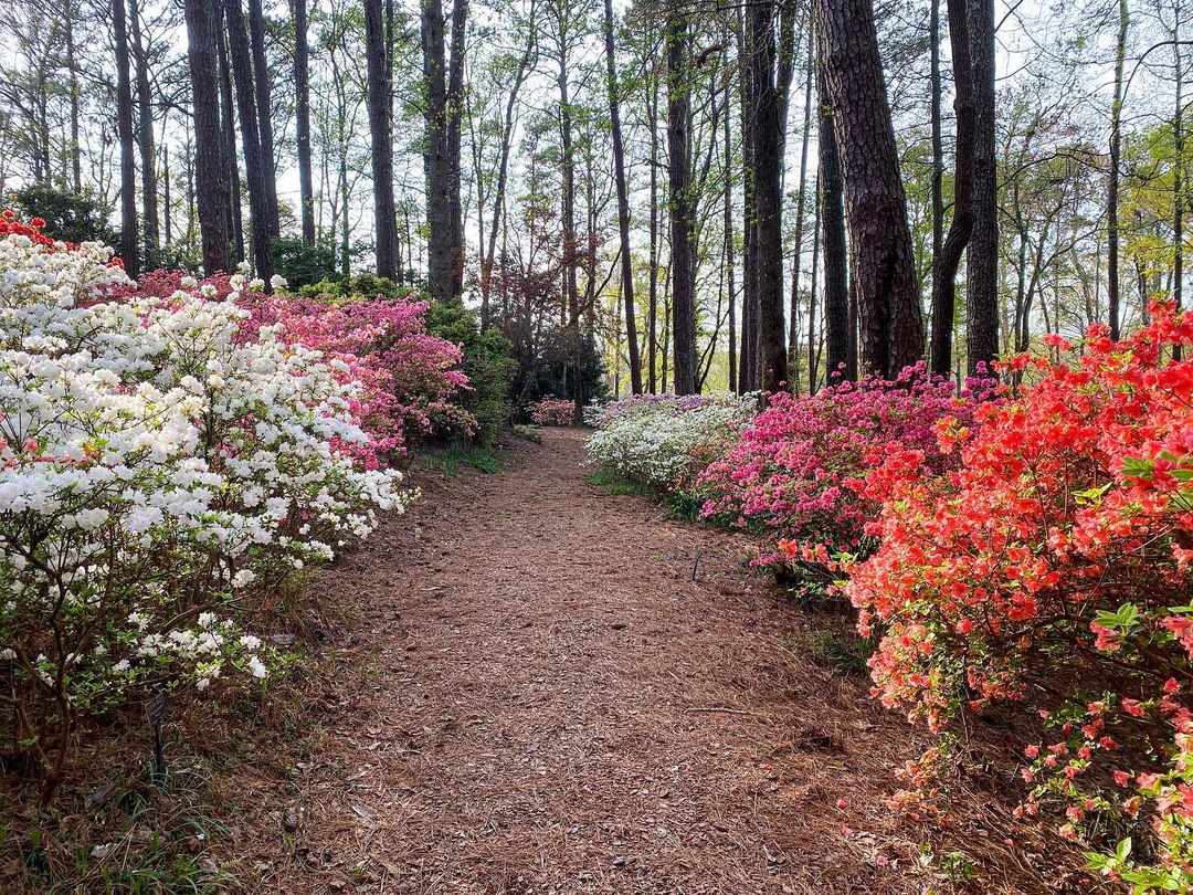 Ultimate Spring Bucket List: 21 Things To Do In Atlanta This Spring