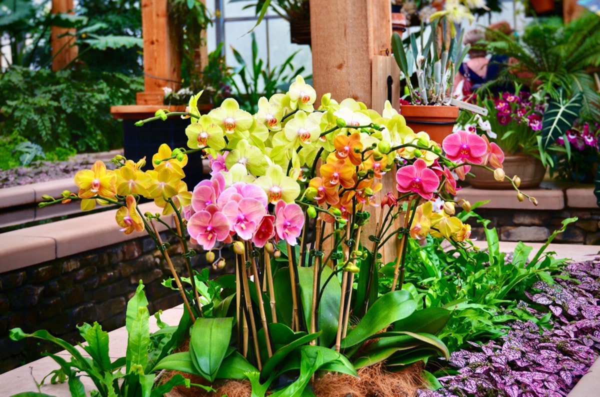 38 Perfect Plans For A Spectacular Spring In Atlanta