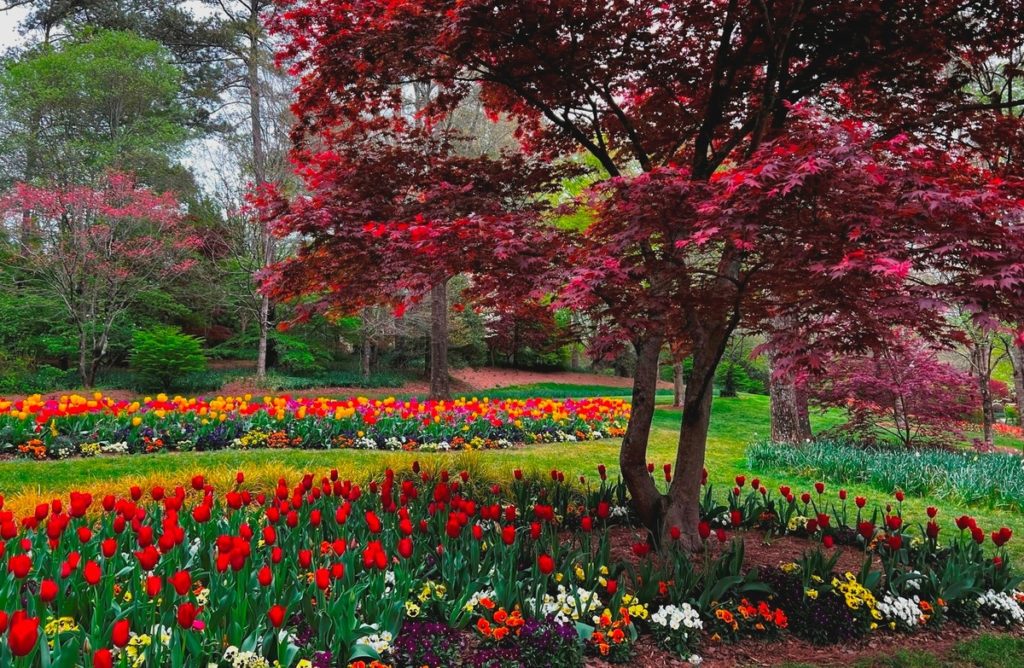10 Wonderful Festivals In Atlanta To Put Some Spring In Your Step!
