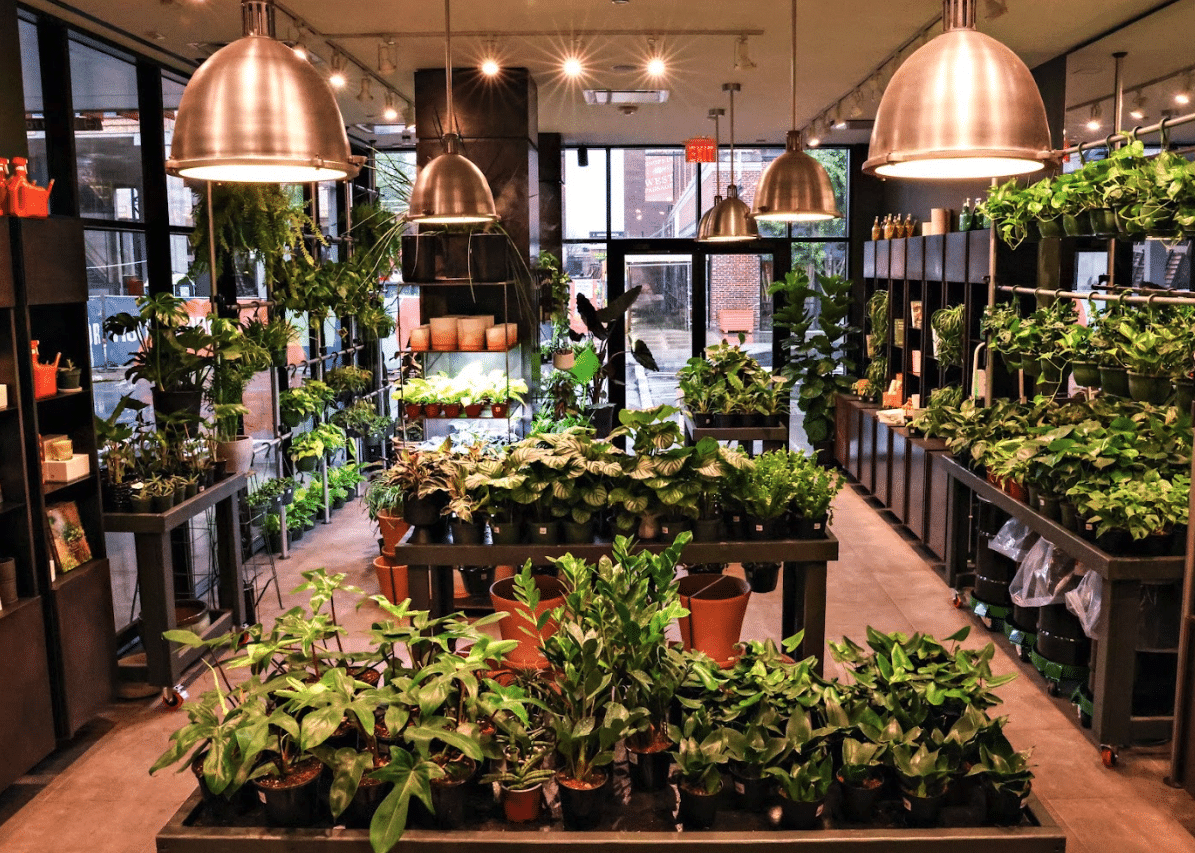 The Most Adorable Plant Shop Makes A New Home At PCM