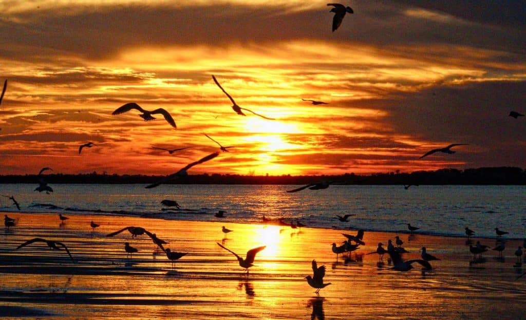 Tybee Island Named One Of America’s Best Beach Towns