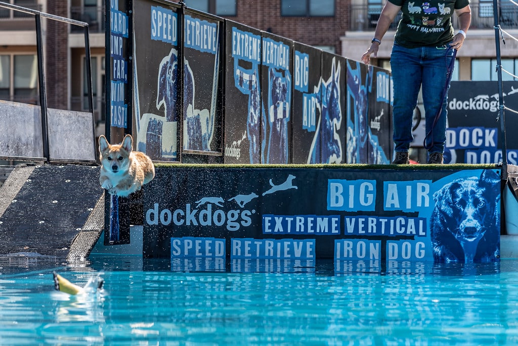Enjoy The Ultimate Dog-Friendly Event This Weekend
