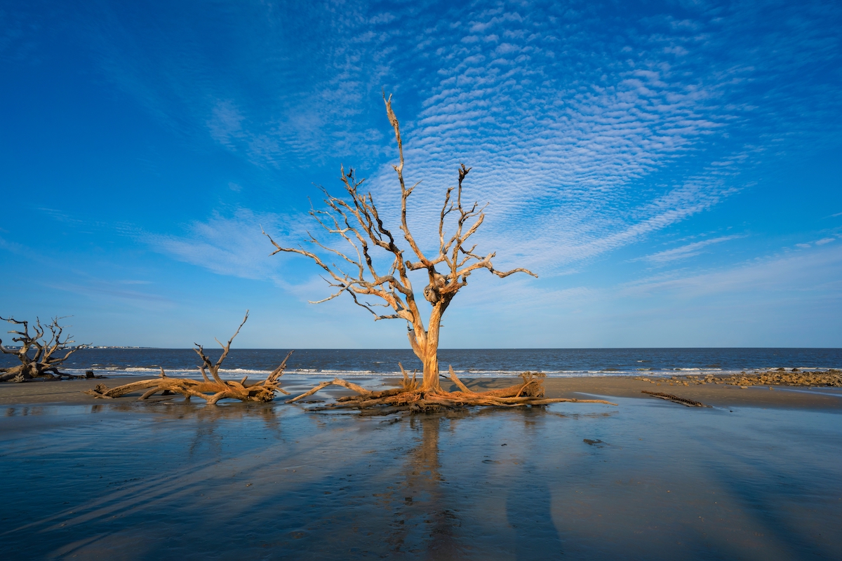One Of The Top 10 Best Beaches In The U.S. Is In Georgia