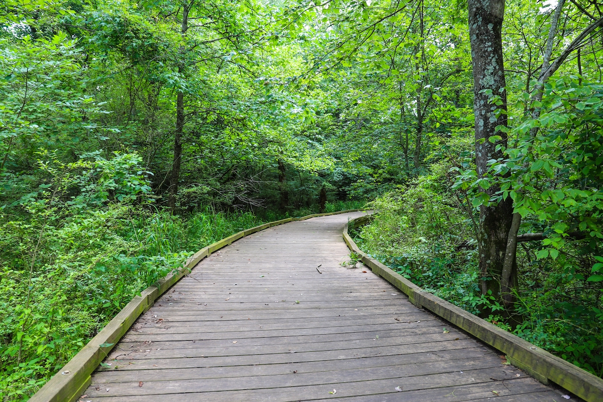 A Massive 535-Mile Trail Plan Aims To 'Have 95% Of Atlantans Within 10 ...