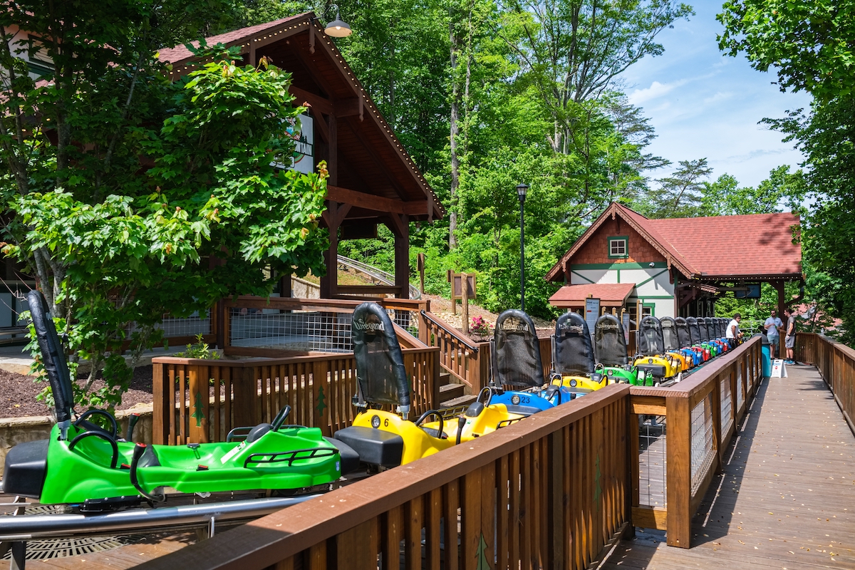 Georgia's First And Only Mountain Coaster Takes You On A Scenic Ride ...