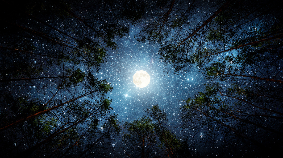 What Is The 'Snow Moon' That's Happening This Weekend? The Astronomical ...