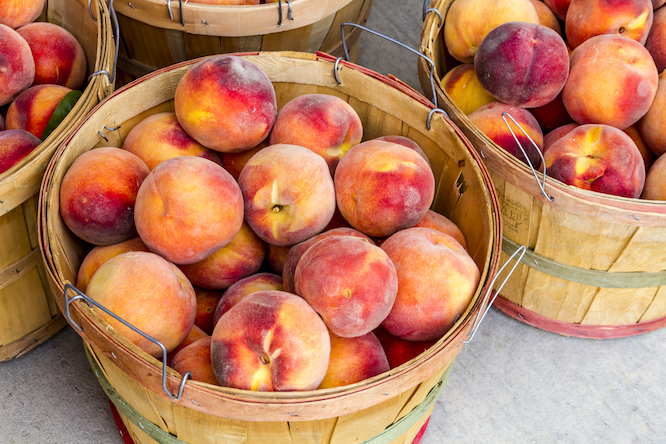One of the ‘Top 10 Best Specialty Food Festivals’ in the U.S. is a 3 ...