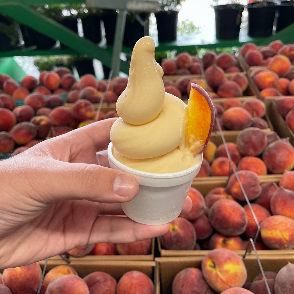 5 peachy keen places to go peach picking in Atlanta this season