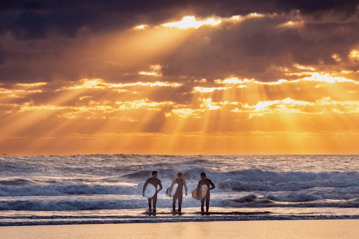 8 Greatest Auckland Beaches To Hangout At This Summer