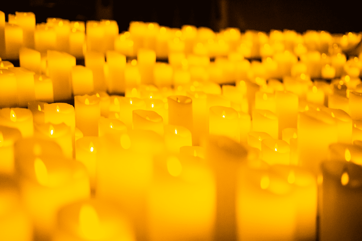 Candlelight Concerts In Auckland Are Mesmerising Events