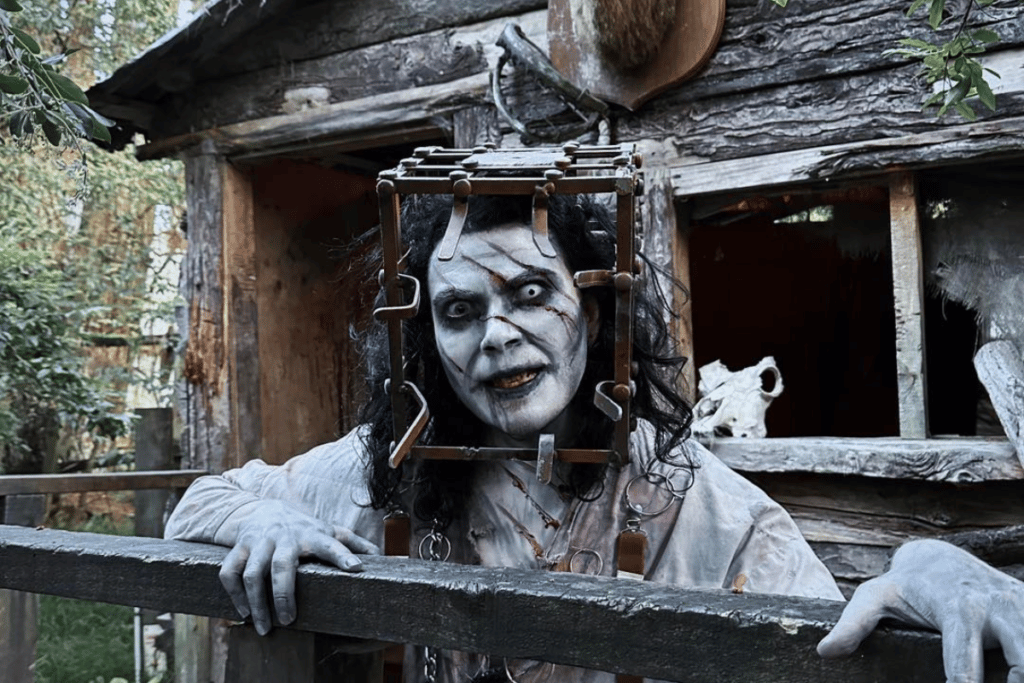 26 Incredible Things To Do In Auckland This Year