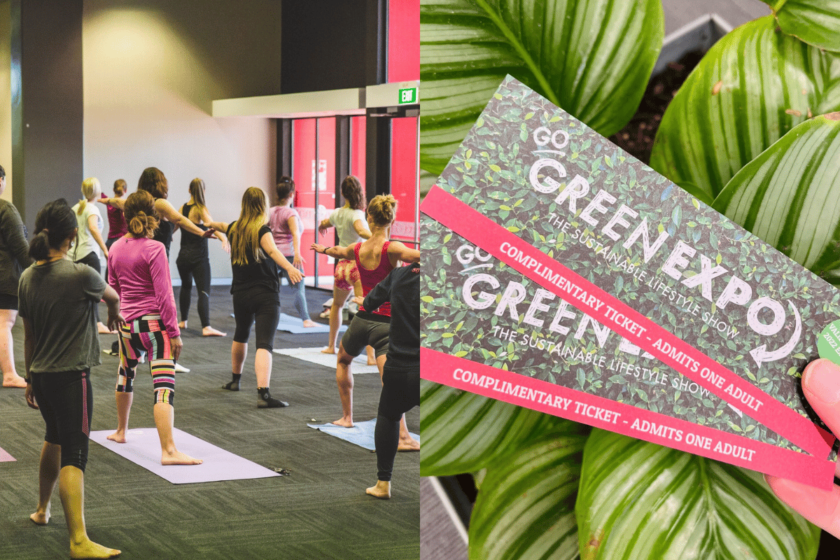 31 Excellent Things To Do This November 2022 In Auckland - Secret Auckland