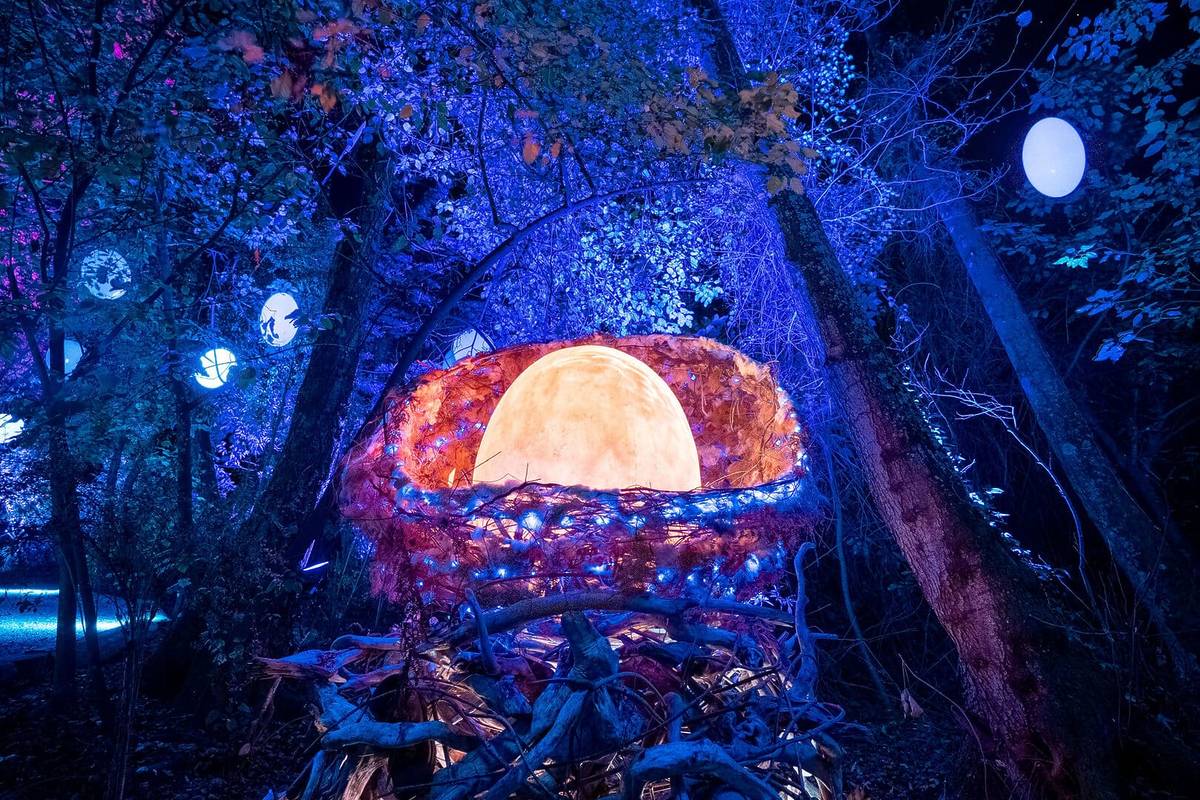 LUMA Enchanted Is A Mystical Night Walk Through Nature
