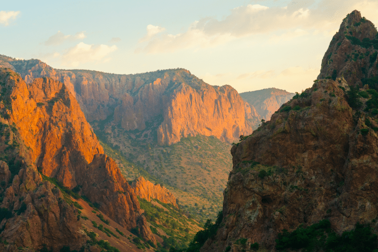 12 Lovely Things To Do In Austin This February