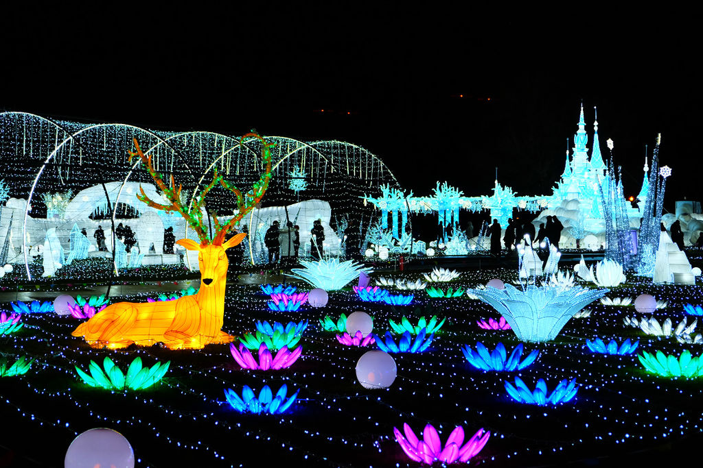 These Stunning Winter Light Displays Will Close Soon