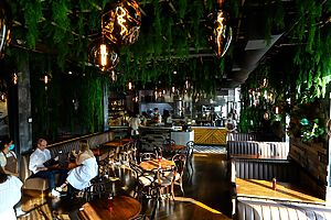 5 Hotspots In Belfast For Delicious Dumplings To Try Today