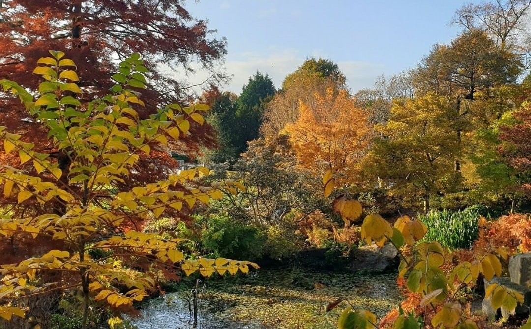 Here Are 14 Beautiful Photos of Birmingham During Autumn