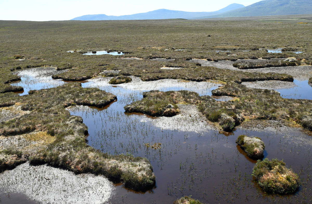 Flow Country: The First Natural UNESCO World Heritage Site In Scotland