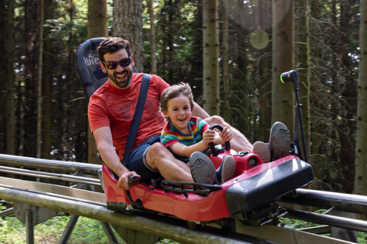 The Fforest Alpine Coaster Is Just 2.5 Hours From Birmingham - Secret ...