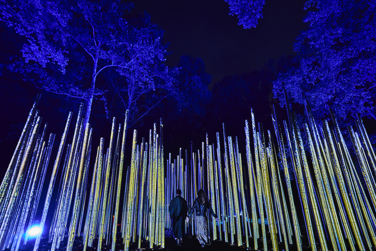 Light Cycles Review: We Visited Birmingham's New Light Trail