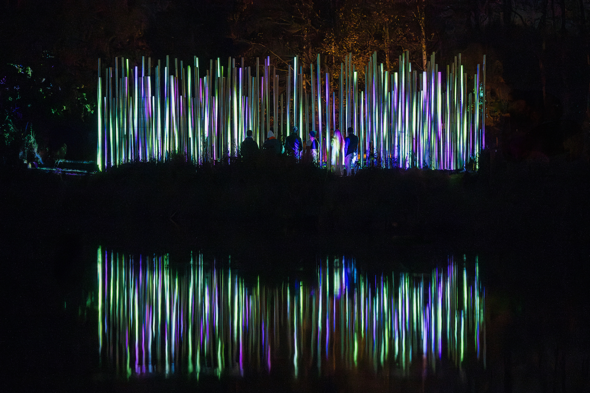 Light Cycles: Five Reasons To Visit The Enchanting Night Trail
