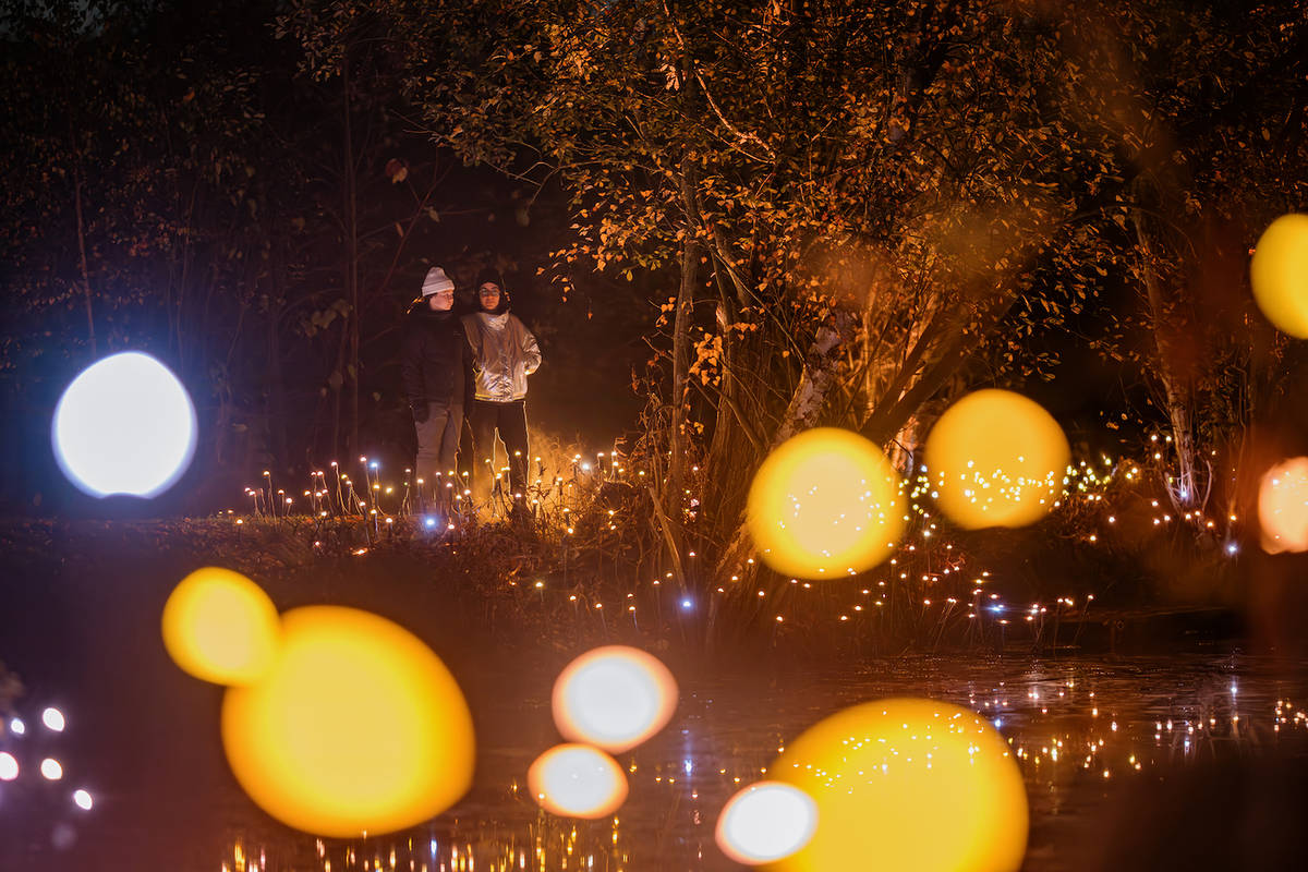 Light Cycles: The Wondrous Light Trail Is Now Open