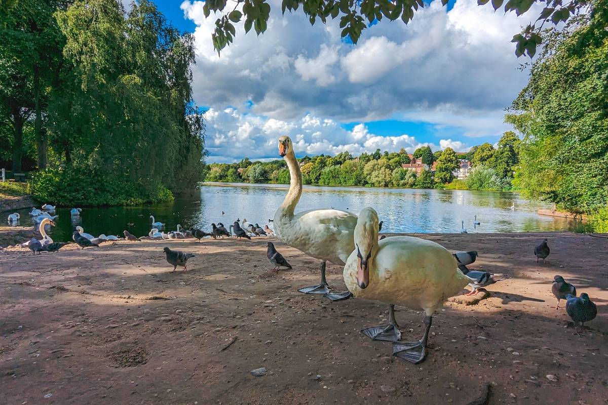 12 Of The Most Gorgeous Green Spaces In Birmingham