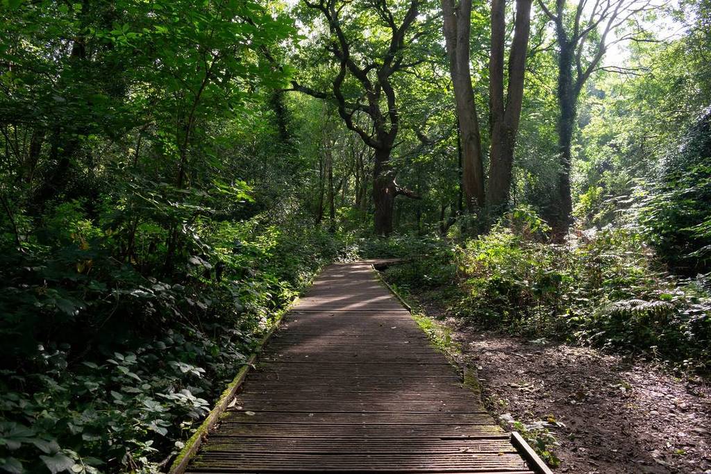 12 Of The Most Gorgeous Green Spaces In Birmingham