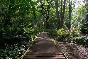 12 Of The Most Gorgeous Green Spaces In Birmingham