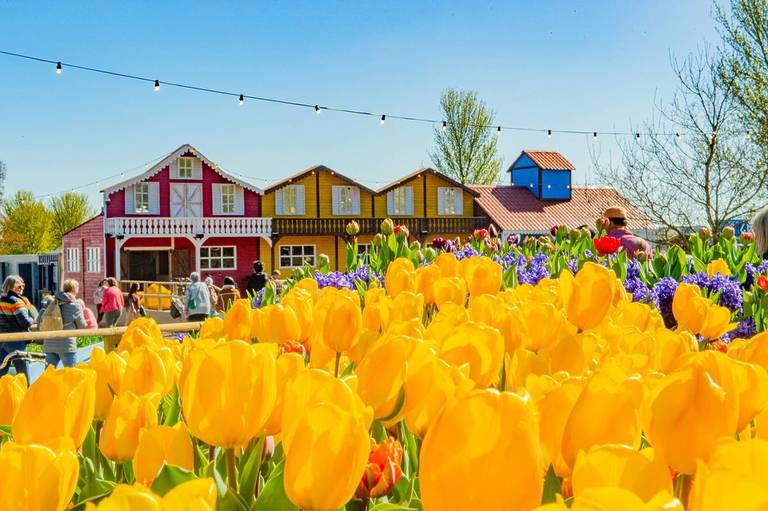 This Huge, Award-Winning Tulip Field With Nearly A Million Flowers Will ...