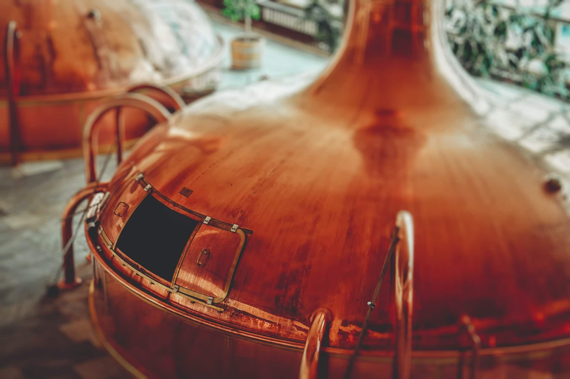 Brisbane Distilleries: Craft And Small-Batch Distillers In Brisbane