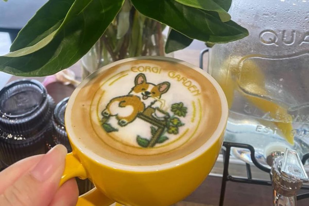 Corgi Garden, A Café Dedicated To Corgis In Brisbane
