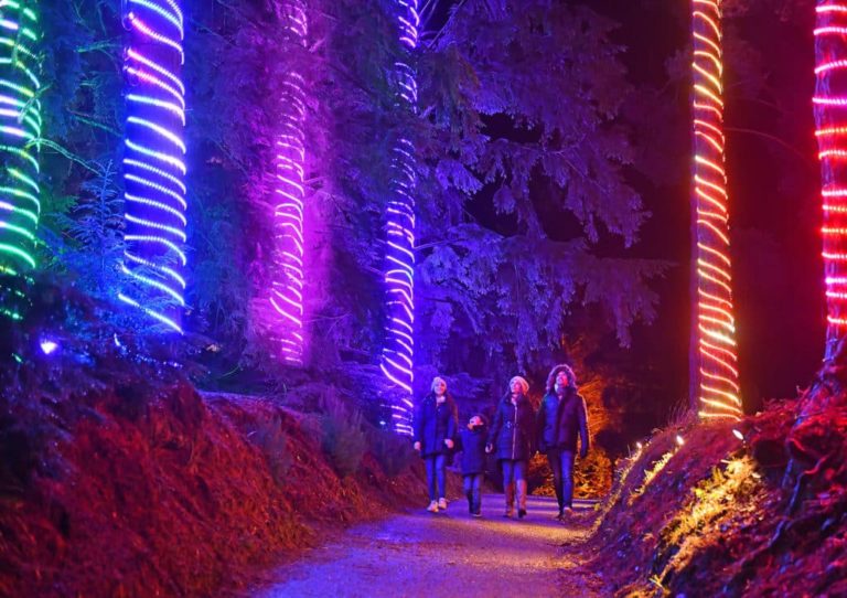 Lightscape Is Illuminating Brisbane This Spring