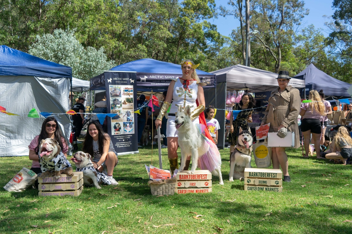 Barktoberfest Is A Festival For Dogs In Brisbane