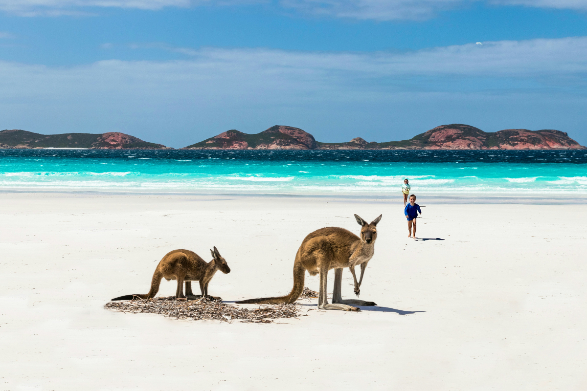 This Is What Australians Asked Google The Most In 2023