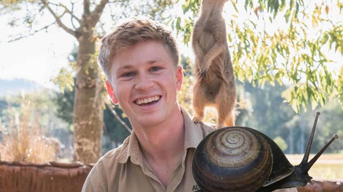 Queensland Scientists Have Named A Snail After Robert Irwin