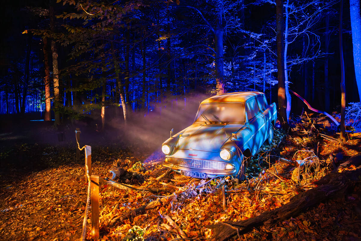 Tickets Are On Sale For A Forbidden Forest Experience