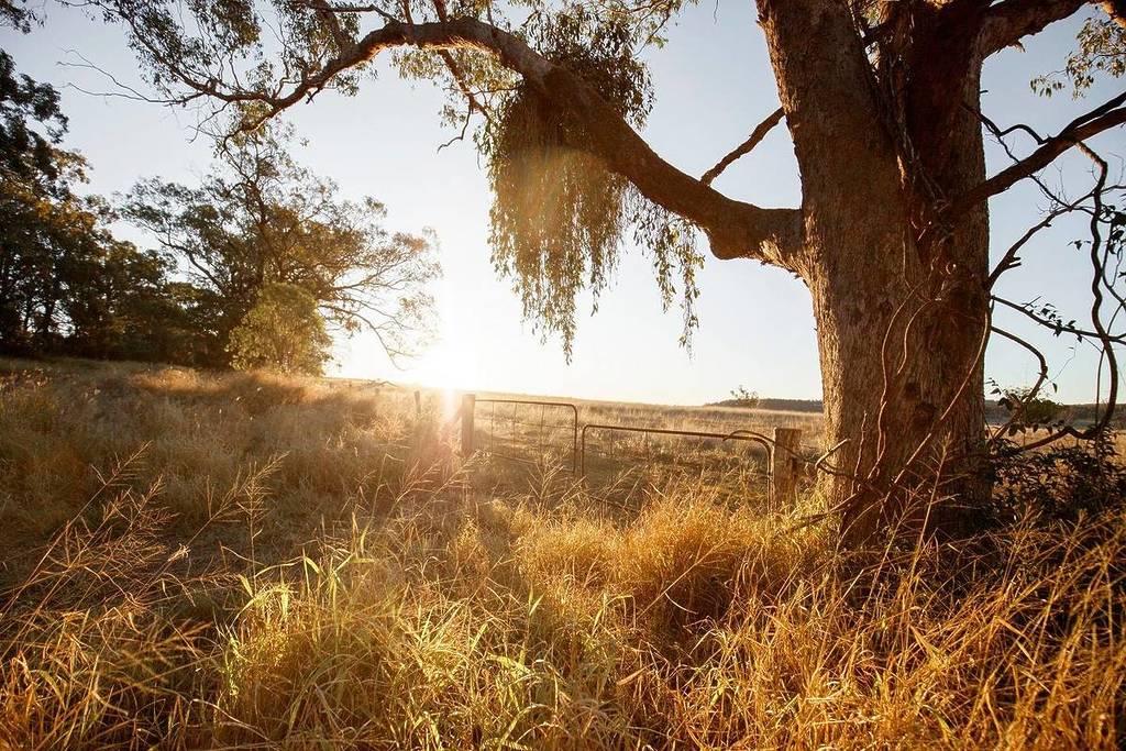 Coolest Towns To Lean Into Winter In Queensland