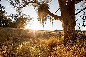 Coolest Towns To Lean Into Winter In Queensland