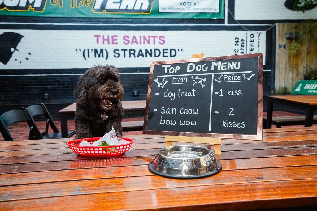 Your Pup Can Eat For Free At This Iconic Music Venue In Brisbane