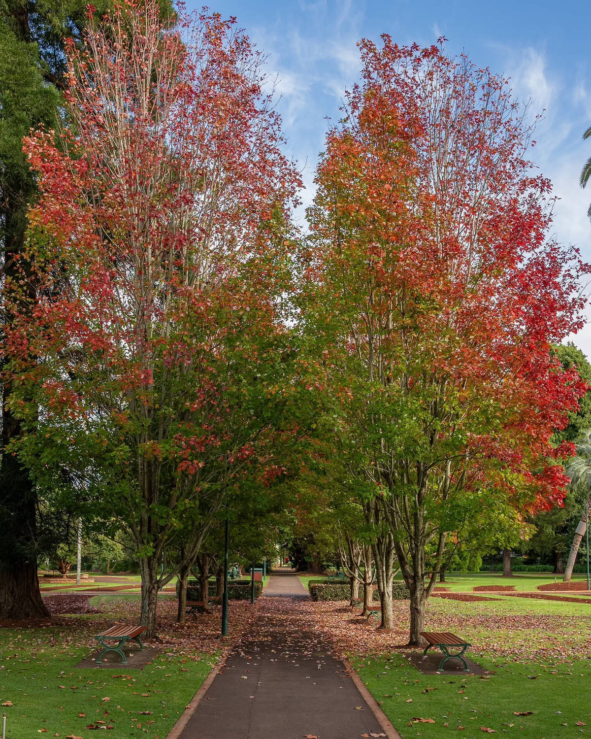 Why Autumn Is The Most Stunning Season To Visit Toowoomba