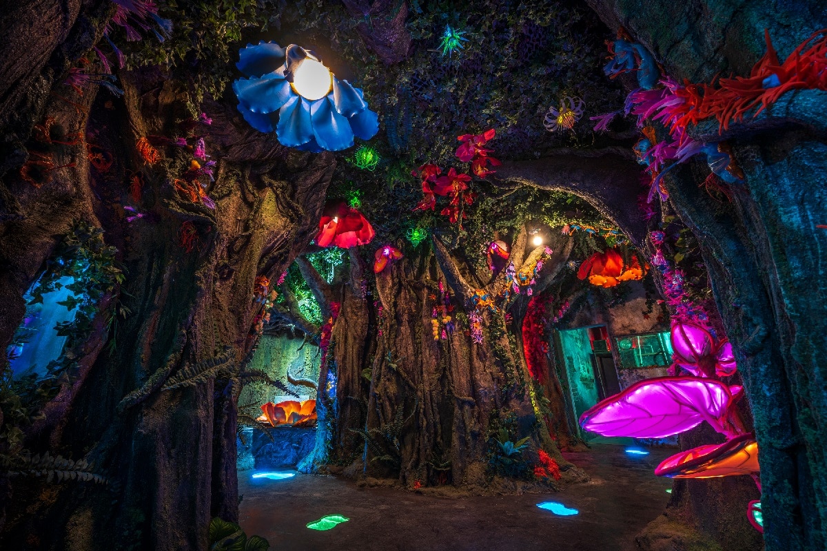 Wake The Tiger: The World's First 'Amazement Park' Is Coming To Bristol