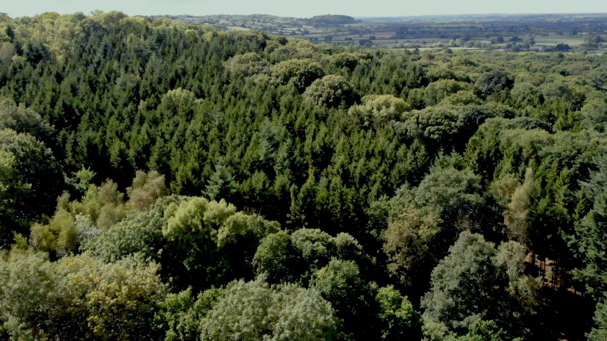 Huge 175-Acre Nature Reserve To Open Near Bristol