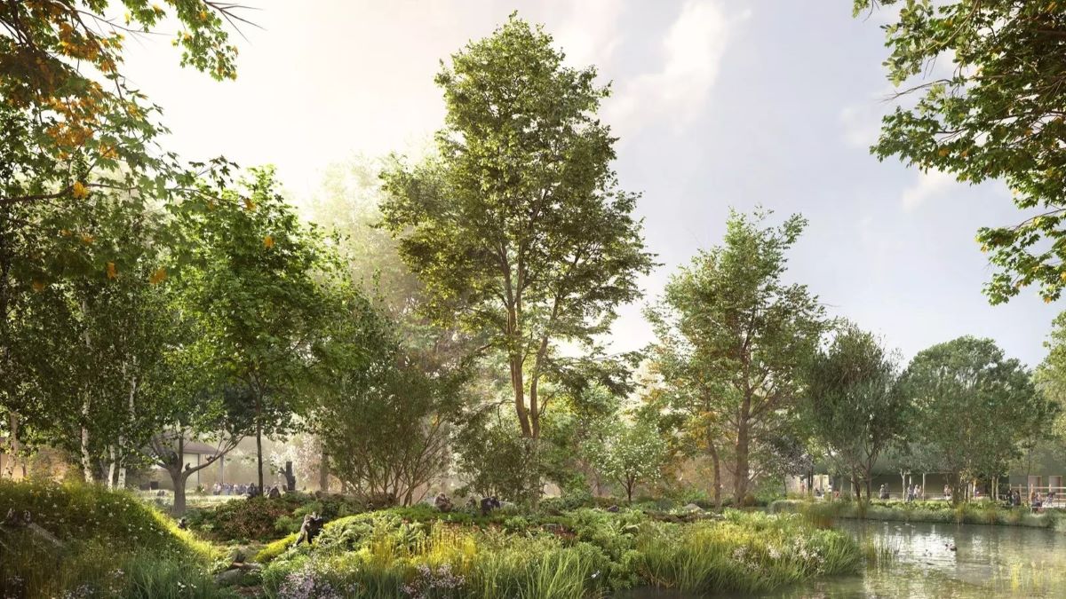Bristol Zoo Project To Build African Forest For Endangered Species