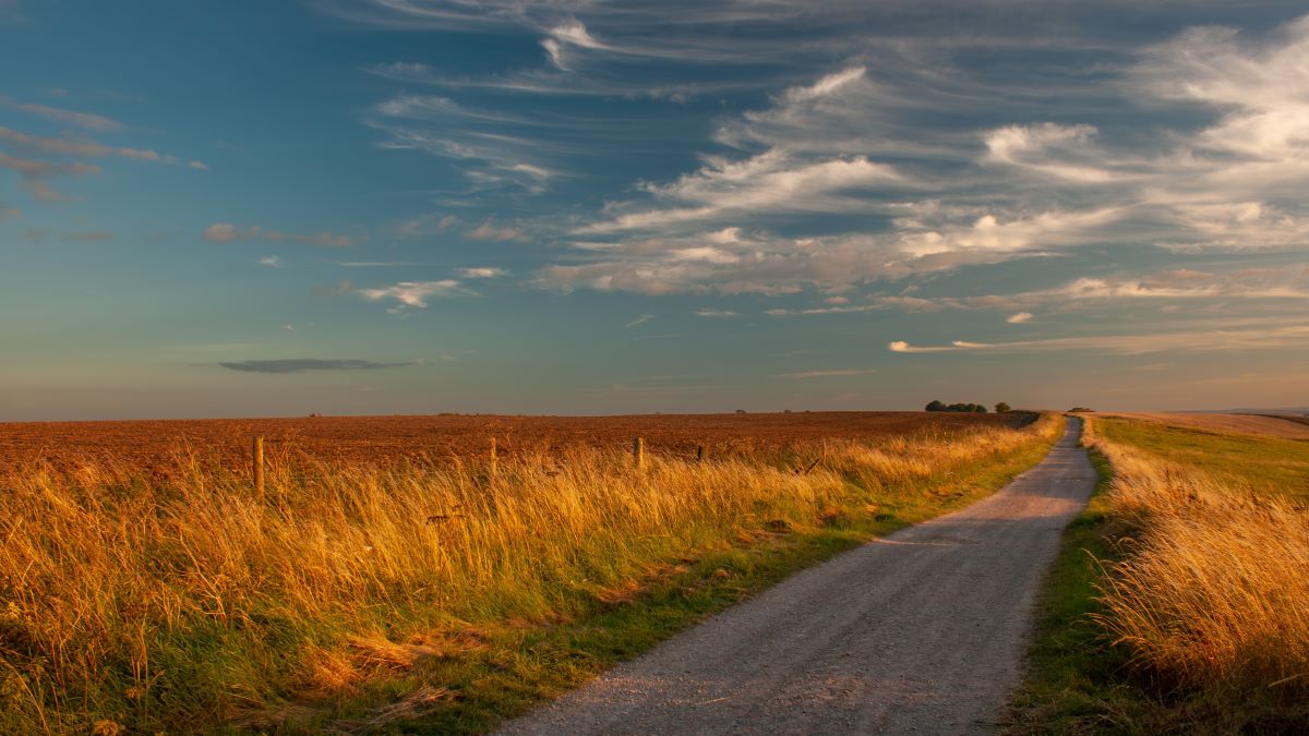 The Oldest Road In Britain Is Only An Hour From Bristol