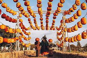 5 Wonderful Things To Do In Bristol This Weekend (October 24-26 ...