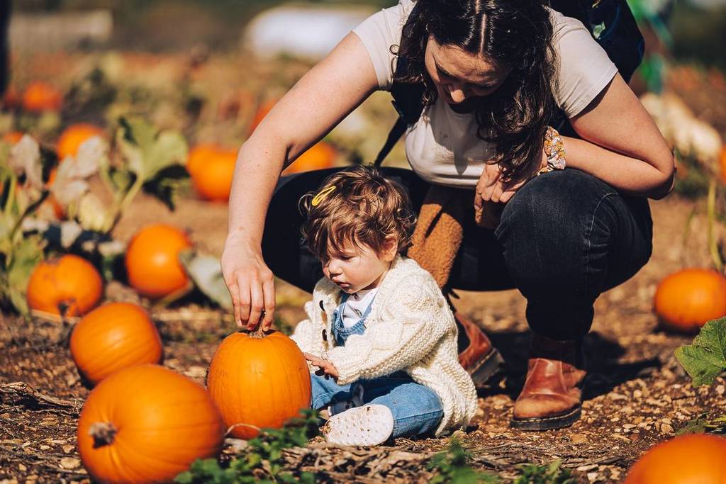 This Pick-Your-Own-Pumpkin Patch Returns To Bristol