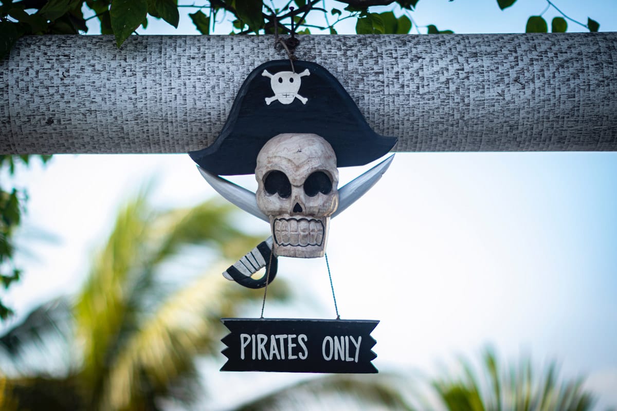 Bring Your Kid To Enjoy A Pirate Tour At The Charleston Museum