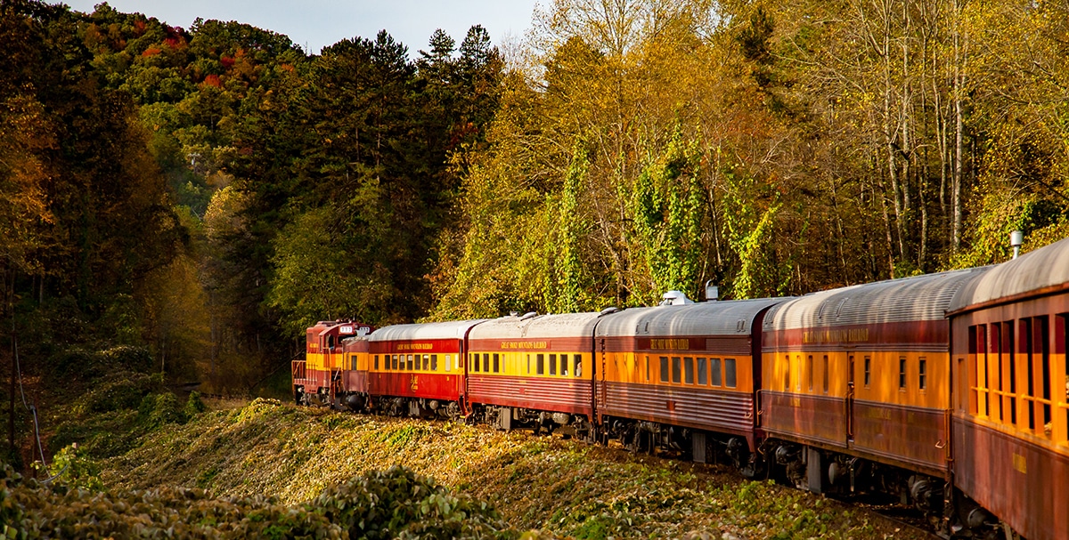 Travel Back In Time With These 5 Scenic Train Excursions Through North ...