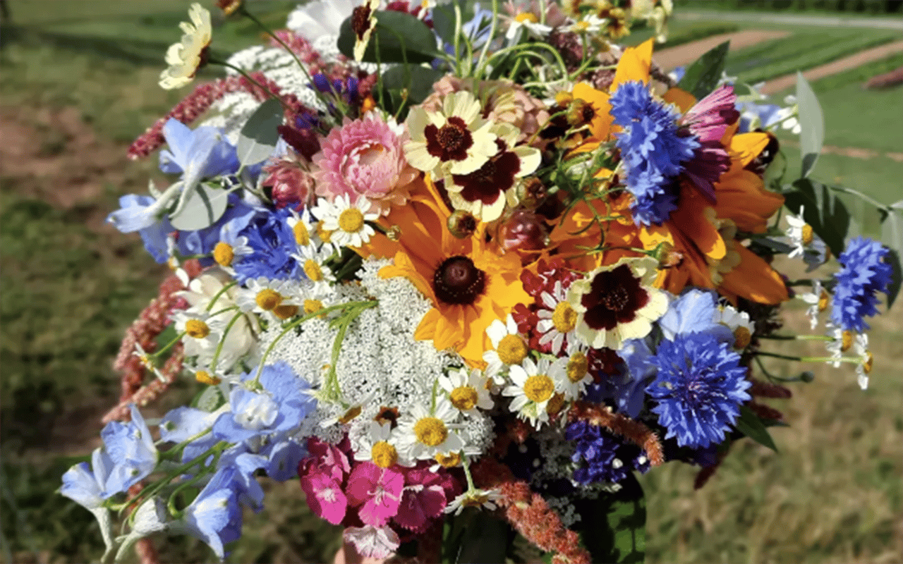 You Can Pick Your Own Stunning Flower Bouquets At A Farm Only 2 And A ...